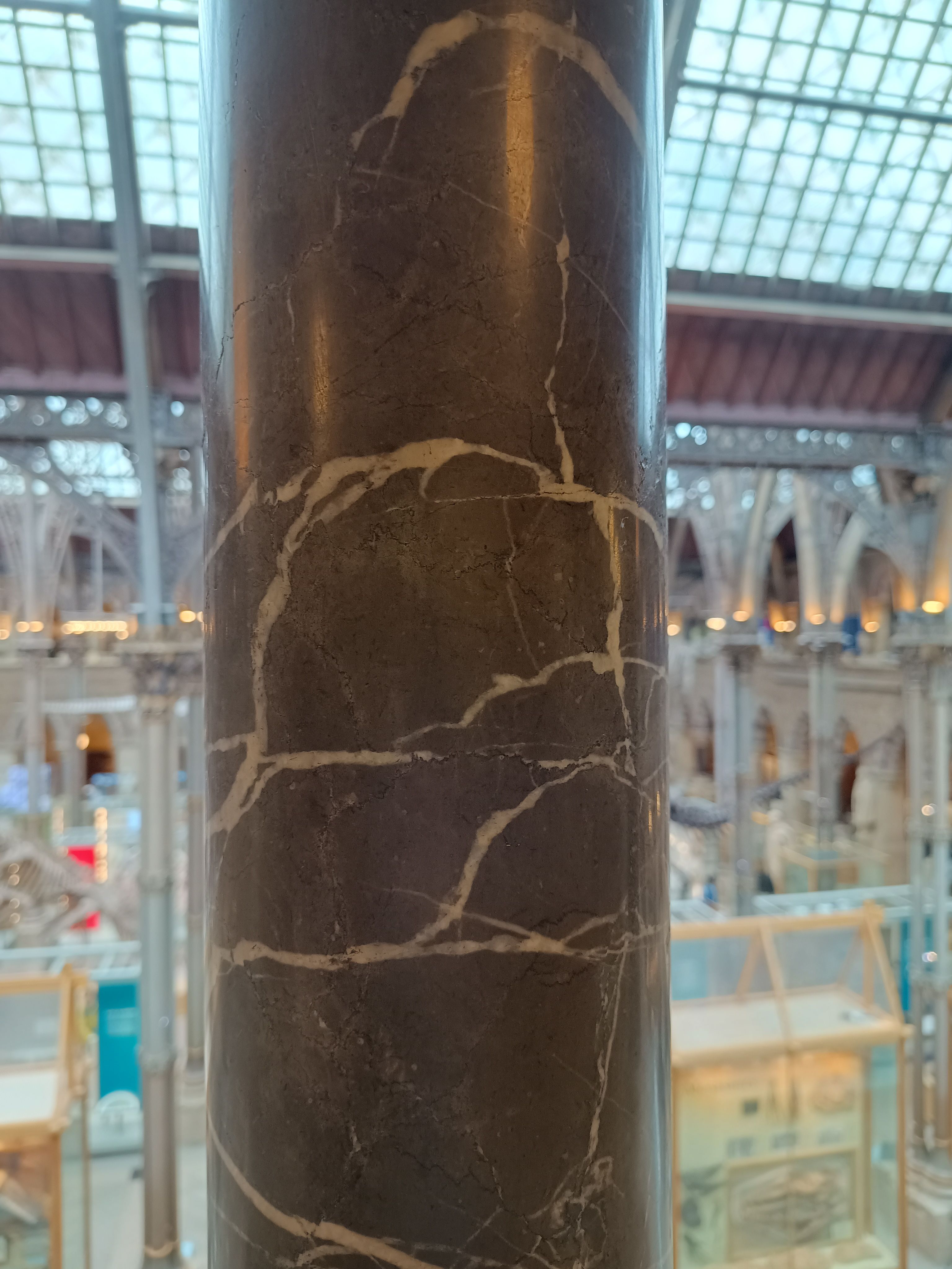Oxford University Museum of Natural History architecture: Columns and ...